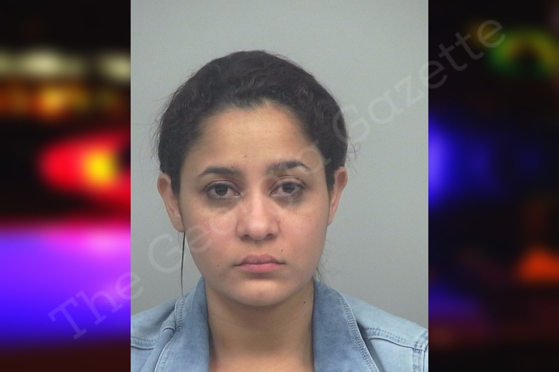 Fabiola Cerda Lopez — Gwinnett County Jail Bookings