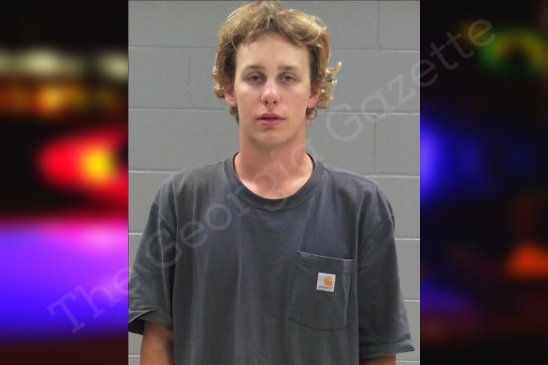 Austin Chambers — Baldwin County Jail Bookings