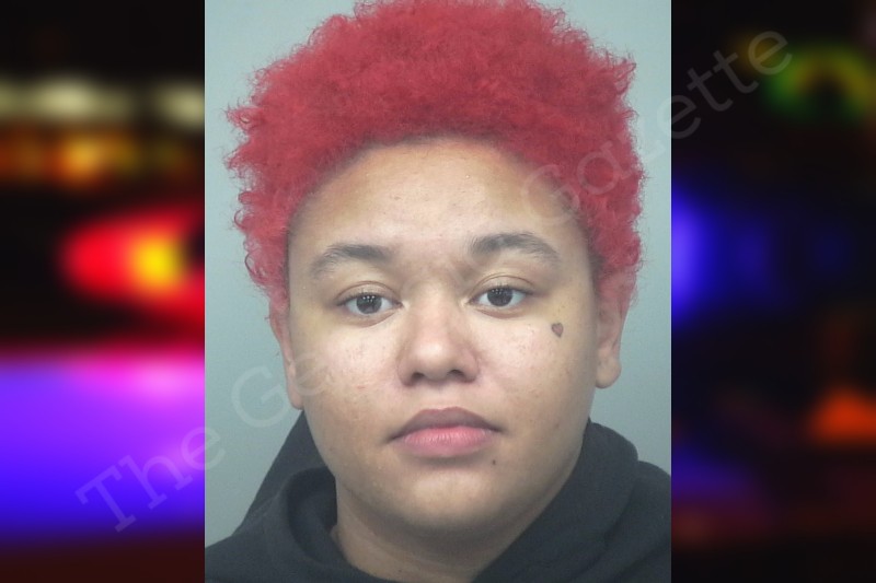 Alexis Cook — Gwinnett County Jail Bookings