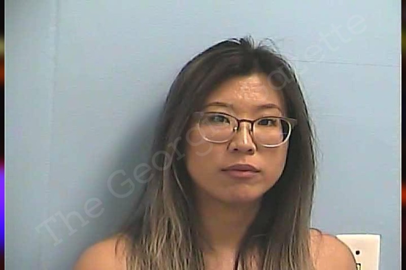 Tian-Lin Chang — Dawson County Jail Bookings