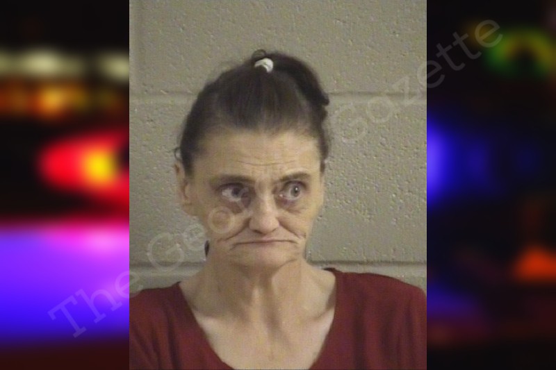 Melissa Cook — Whitfield County Jail Bookings