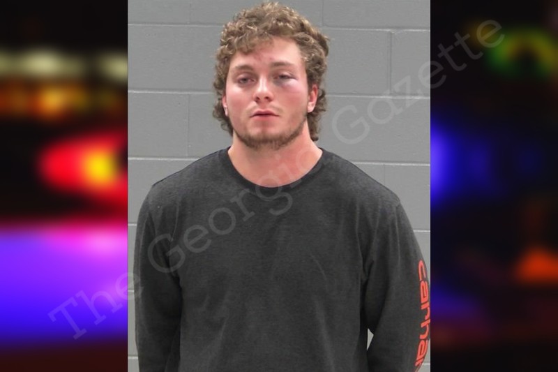 Landon Davis — Baldwin County Jail Bookings