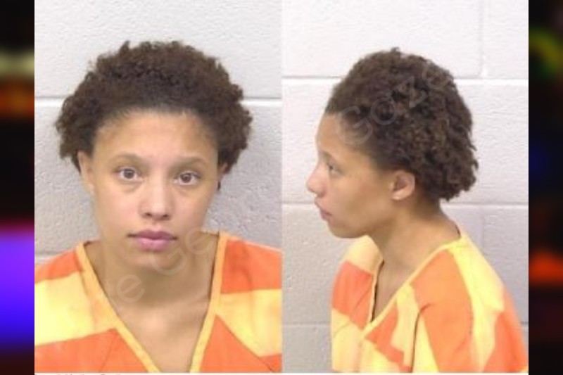 Madison Donnell — Paulding County Jail Bookings