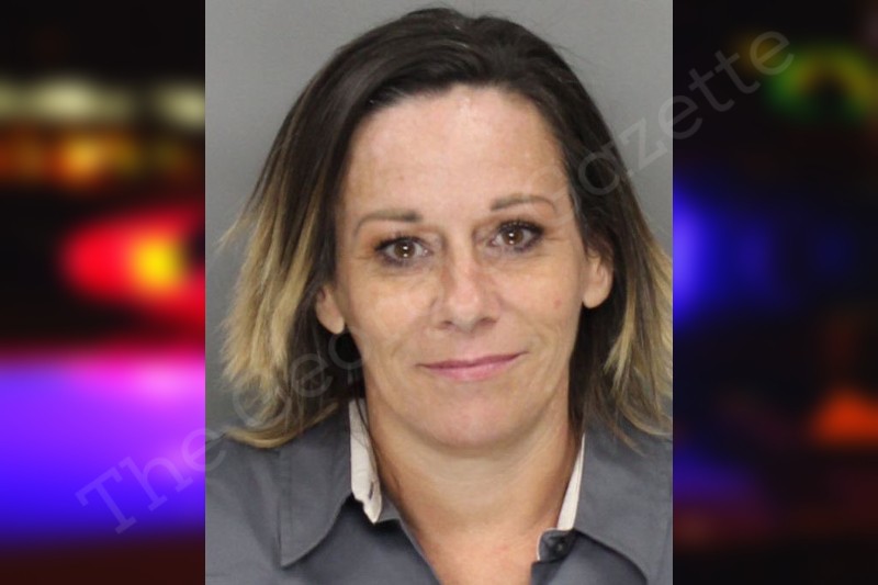 Dawn Epling — Cobb County Jail Bookings