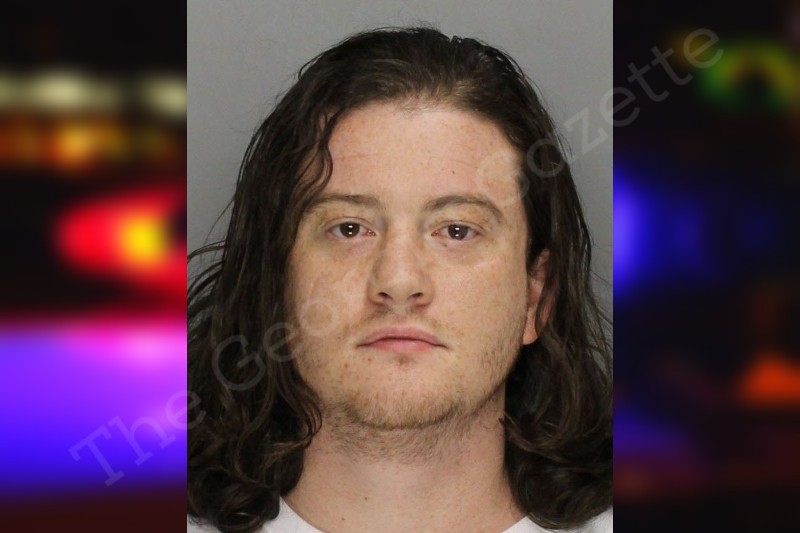 Blake Erickson — Cobb County Jail Bookings