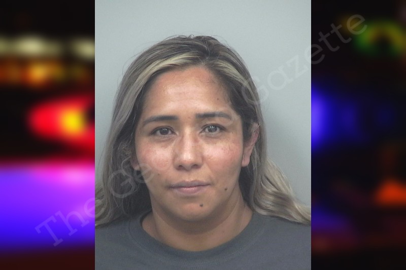 Anabel Estrada — Gwinnett County Jail Bookings