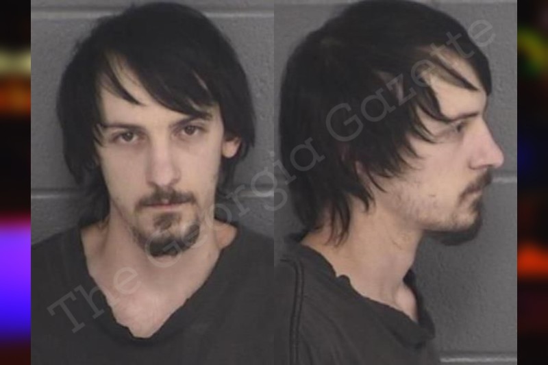 Thomas Edwards — Barrow County Jail Bookings