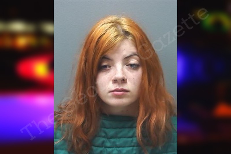 Jessica Elmore — Cherokee County Jail Bookings