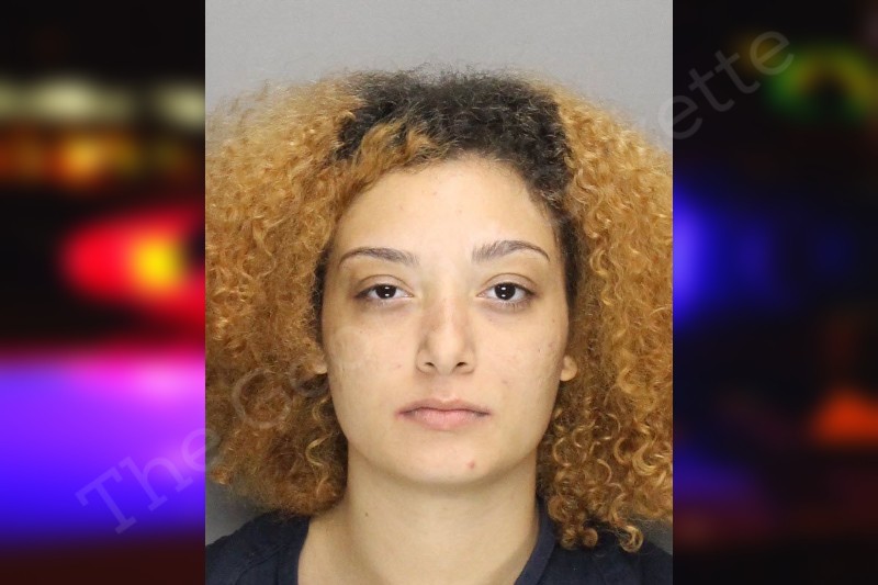Britany Ferguson — Cobb County Jail Bookings