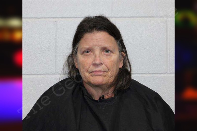 Christy Fowler — Habersham County Jail Bookings