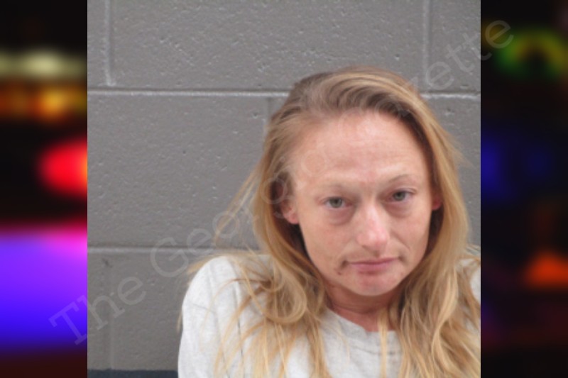 Erica McCabe — Banks County Jail Bookings