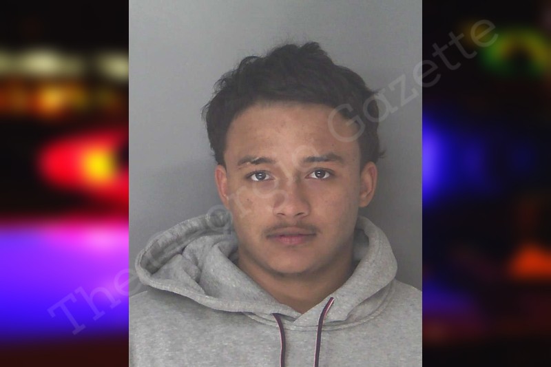 Jayden Gaddy — Douglas County Jail Bookings