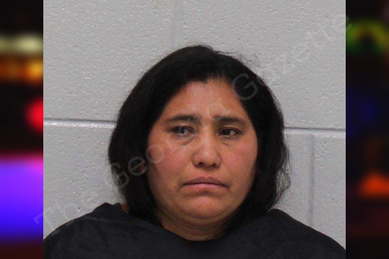 Alicia Galicia — Carroll County Jail Bookings
