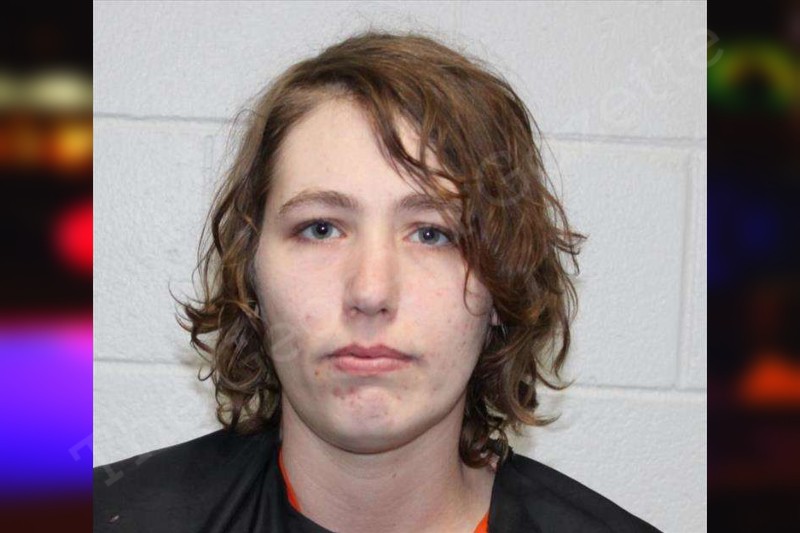 Kalyn Giaquinta — Habersham County Jail Bookings