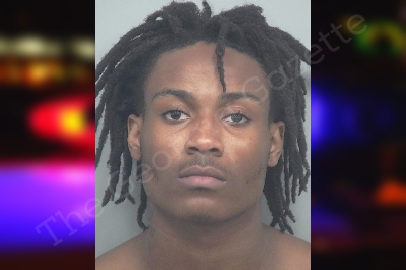 Cameron Goodwyn Gwinnett County cameron-goodwyn-gwinnett-county