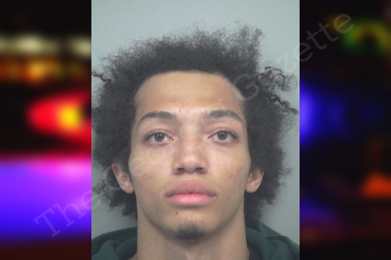 Austin Griggs — Gwinnett County Jail Bookings