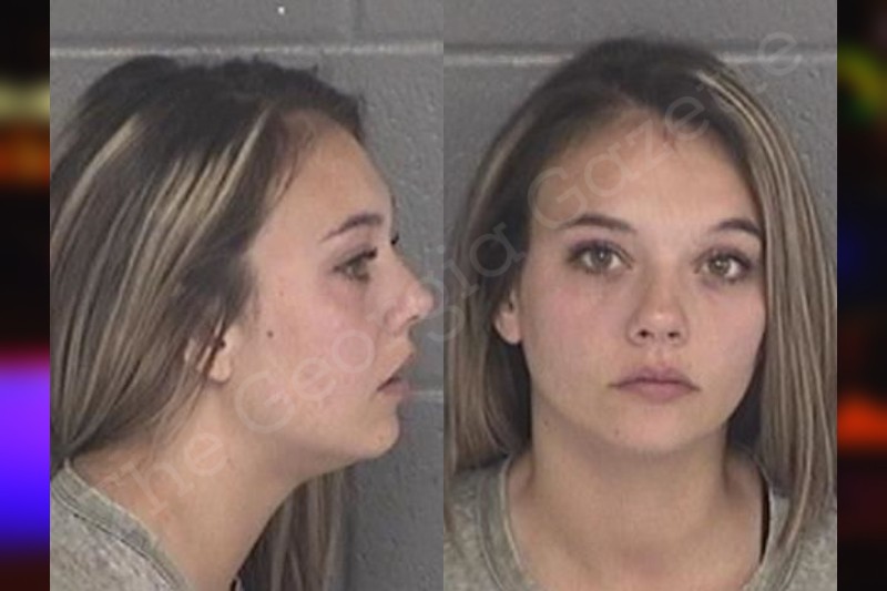 Bree-Anne Gibbons — Barrow County Jail Bookings