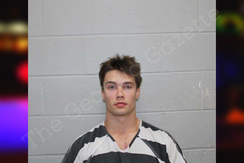 Alexander Hayes — Harris County Jail Bookings