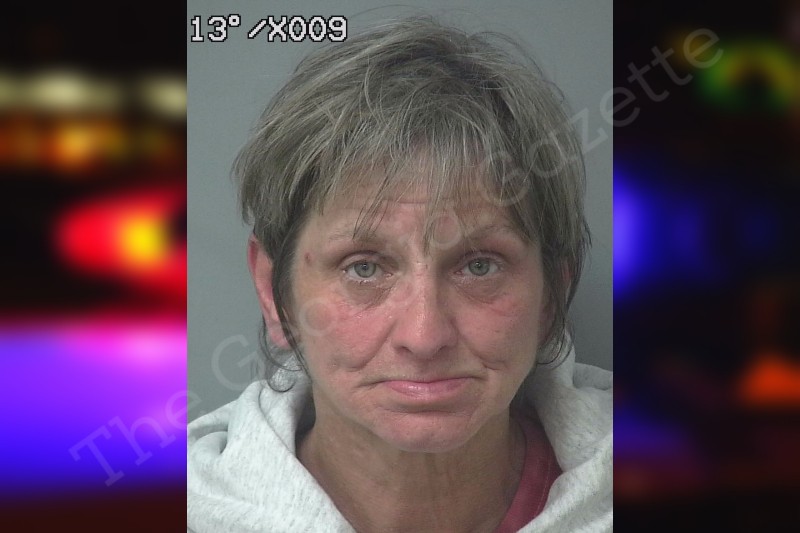 Kerry Hayes — Gwinnett County Jail Bookings