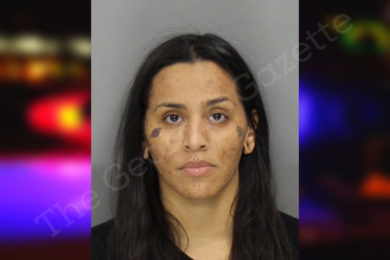 Arianna Hazel — Cobb County Jail Bookings