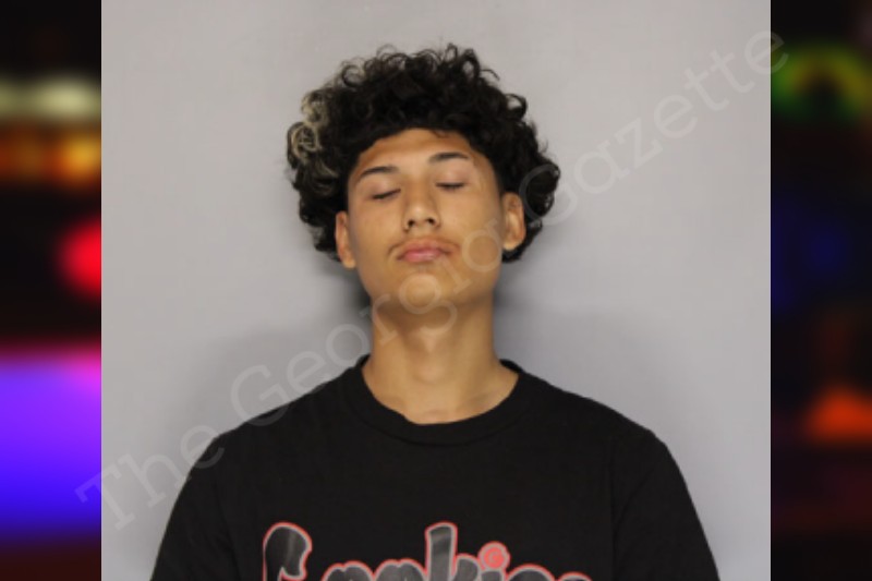 Edgar Hernandez | Hall County Jail Bookings