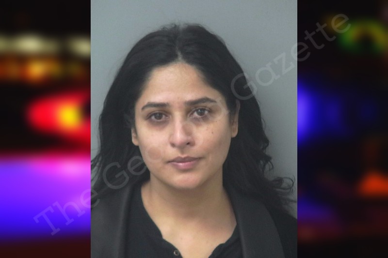 Erum Hussain — Gwinnett County Jail Bookings