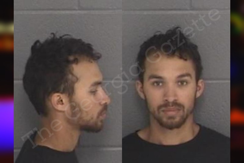 Alexandre Hamilton — Barrow County Jail Bookings