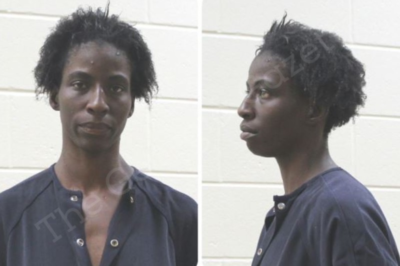 Dionna Harris — Houston County Jail Bookings