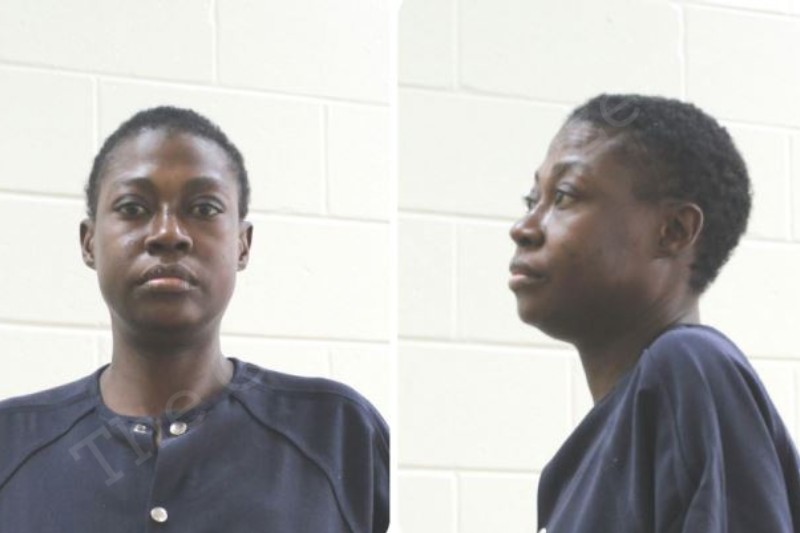 Erica Harrison — Houston County Jail Bookings