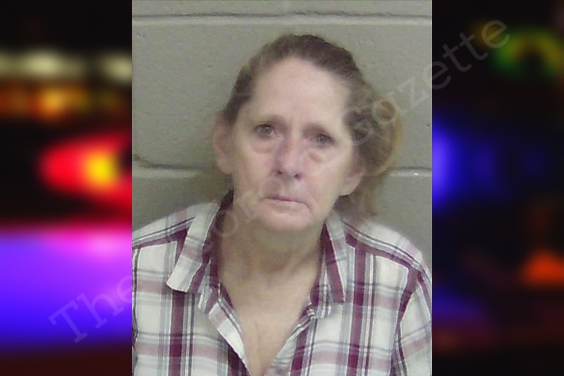 Selena Harrison — Wayne County Jail Bookings