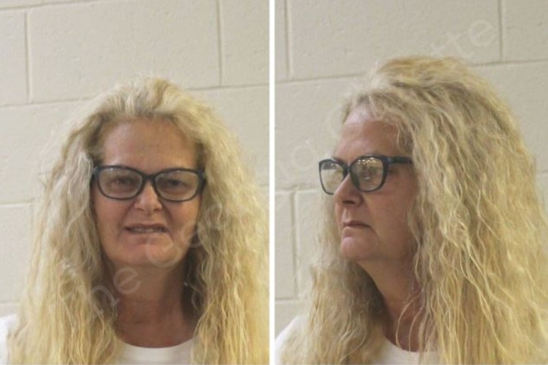 Connie Irwin — Houston County Jail Bookings