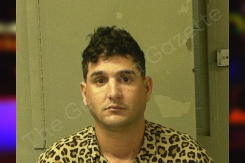 Leonel Mendez-Martin — McIntosh County Jail Bookings