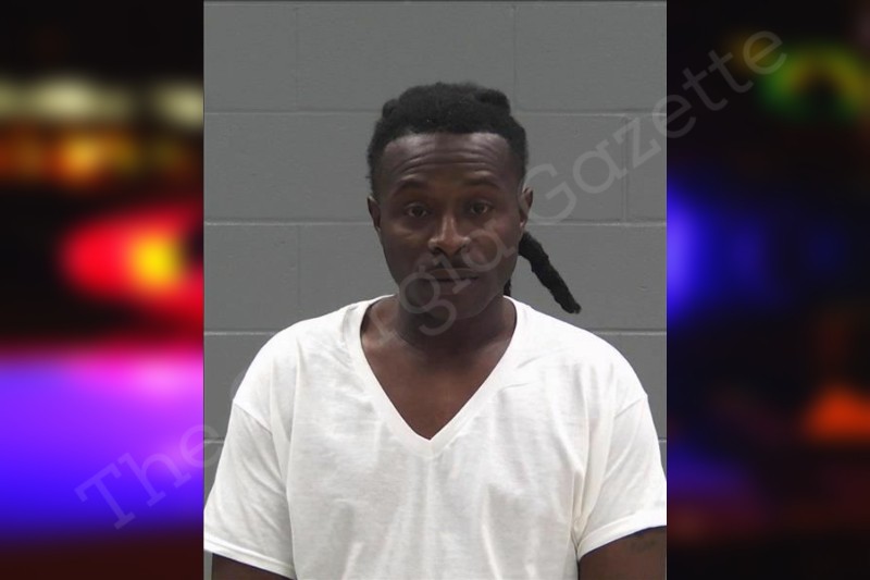 Travis Jenkins — Baldwin County Jail Bookings