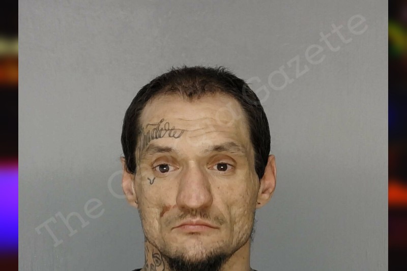 Jacob Webster — Bibb County Jail Bookings