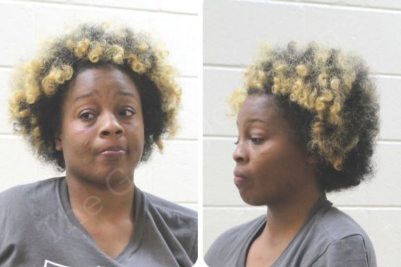 Raven Jenkins — Houston County Jail Bookings