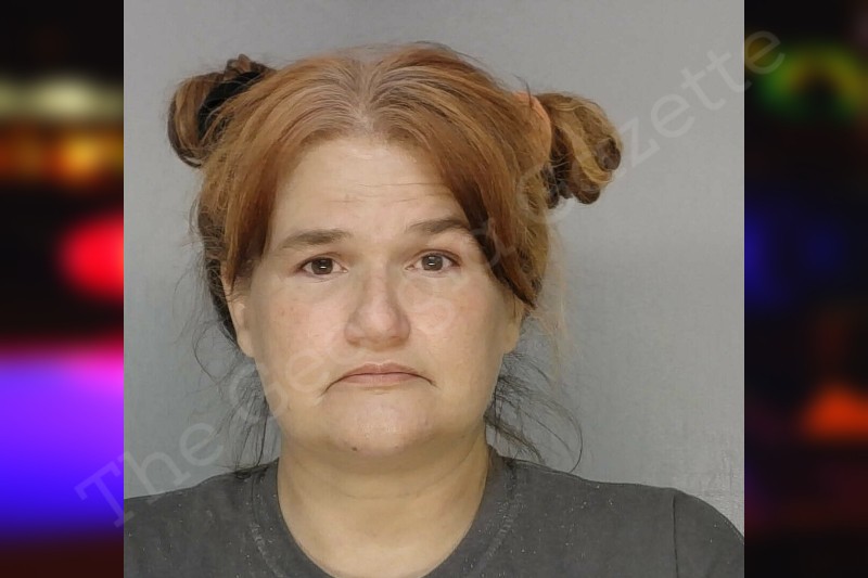 Jennifer Todd — Bibb County Jail Bookings