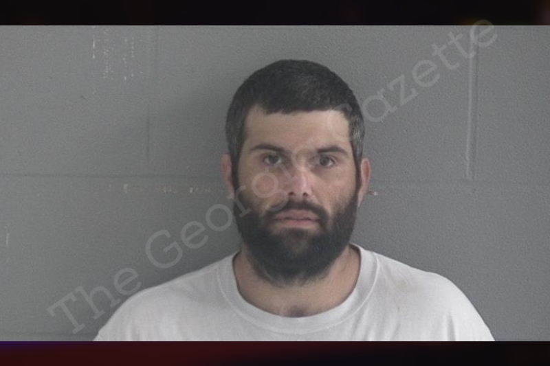 Tyler Johns — Brantley County Jail Bookings