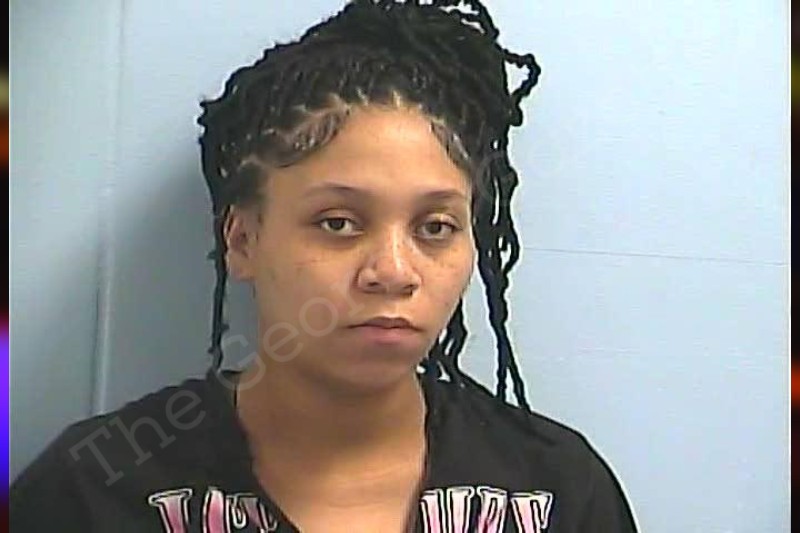 Doris Johnson — Dawson County Jail Bookings