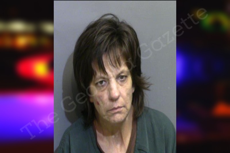 Elizabeth Johnson — Glynn County Jail Bookings