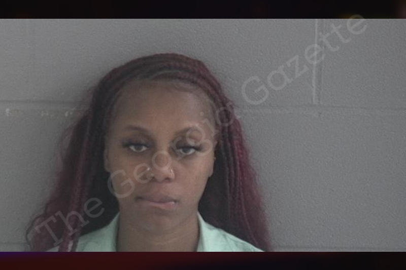 Destinee King — Brantley County Jail Bookings