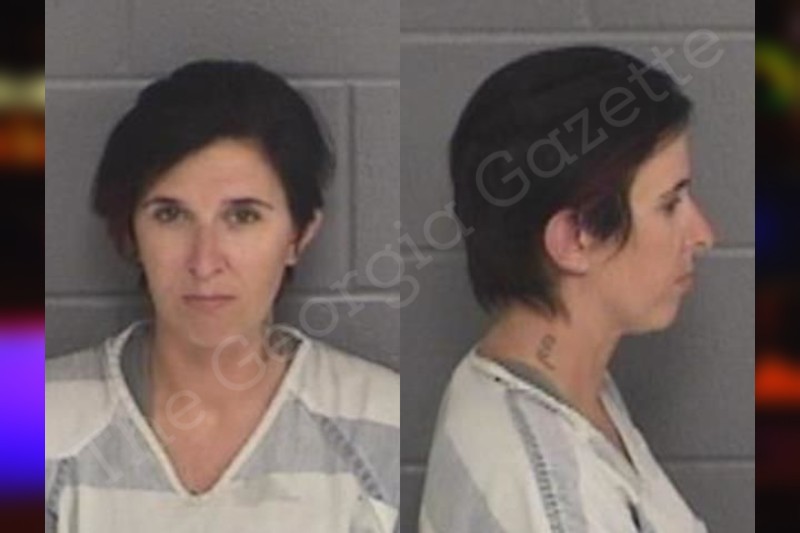 Ashley Kinney — Barrow County Jail Bookings