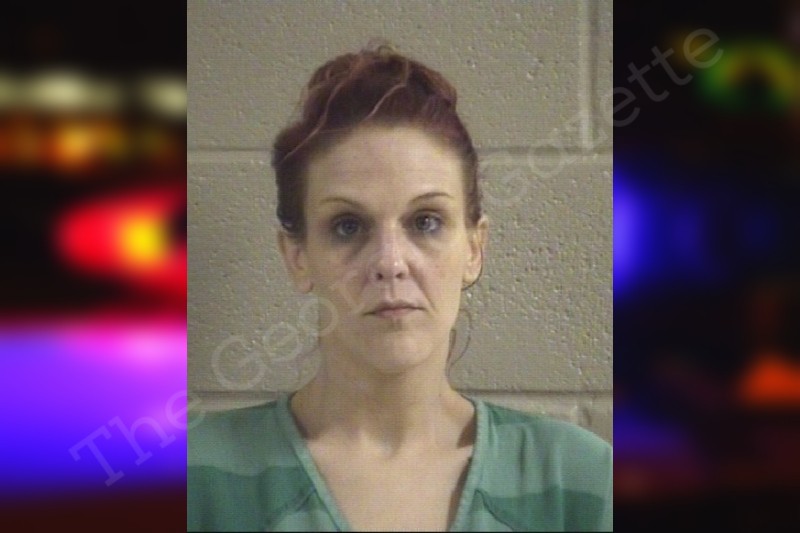 Kristin Brown — Whitfield County Jail Bookings