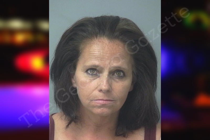 Lisa Ledbetter | Gwinnett County Jail Bookings