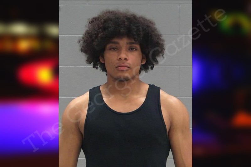 Tyler Lester — Baldwin County Jail Bookings