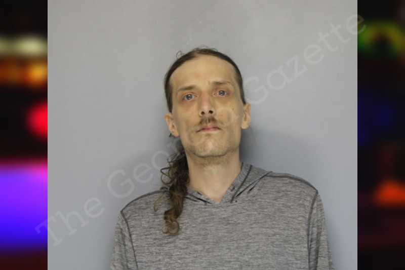 Charles Lewin — Hall County Jail Bookings