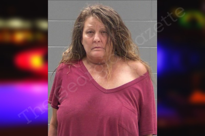 Lisa Lewis — Baldwin County Jail Bookings