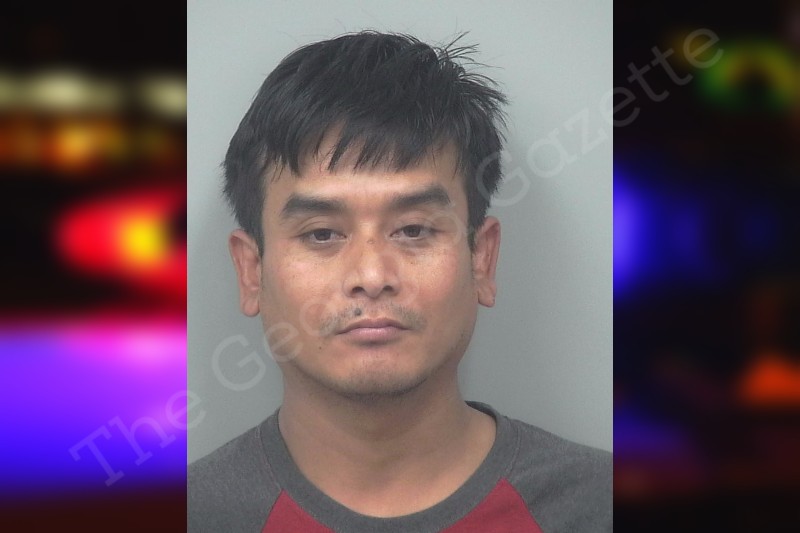 David Lian — Gwinnett County Jail Bookings