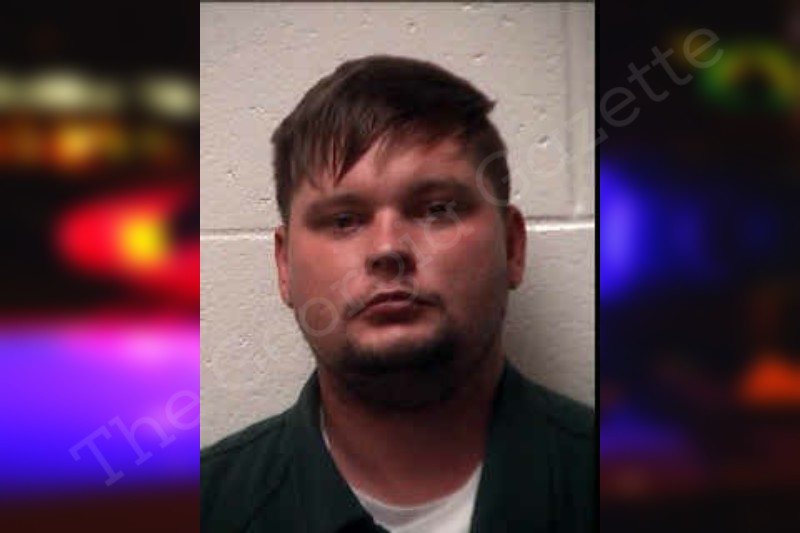 Bo Little — Henry County Jail Bookings