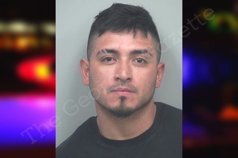 Jose Lizcano Amaya — Gwinnett County Jail Bookings