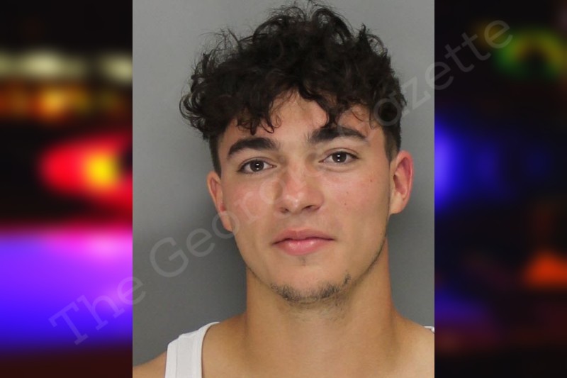 Caleb Louzader — Cobb County Jail Bookings